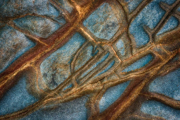 Beginner's Guide to Focus Stacking - Jim Patterson Photography